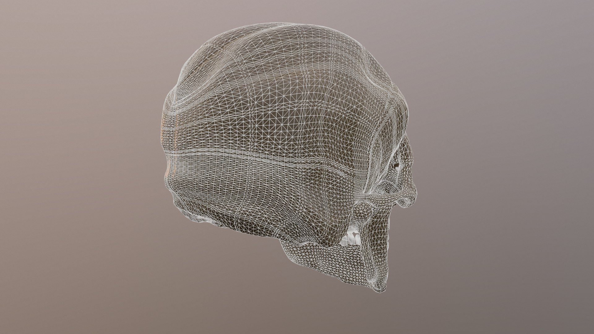 Damaged Skull Model - TurboSquid 1720615