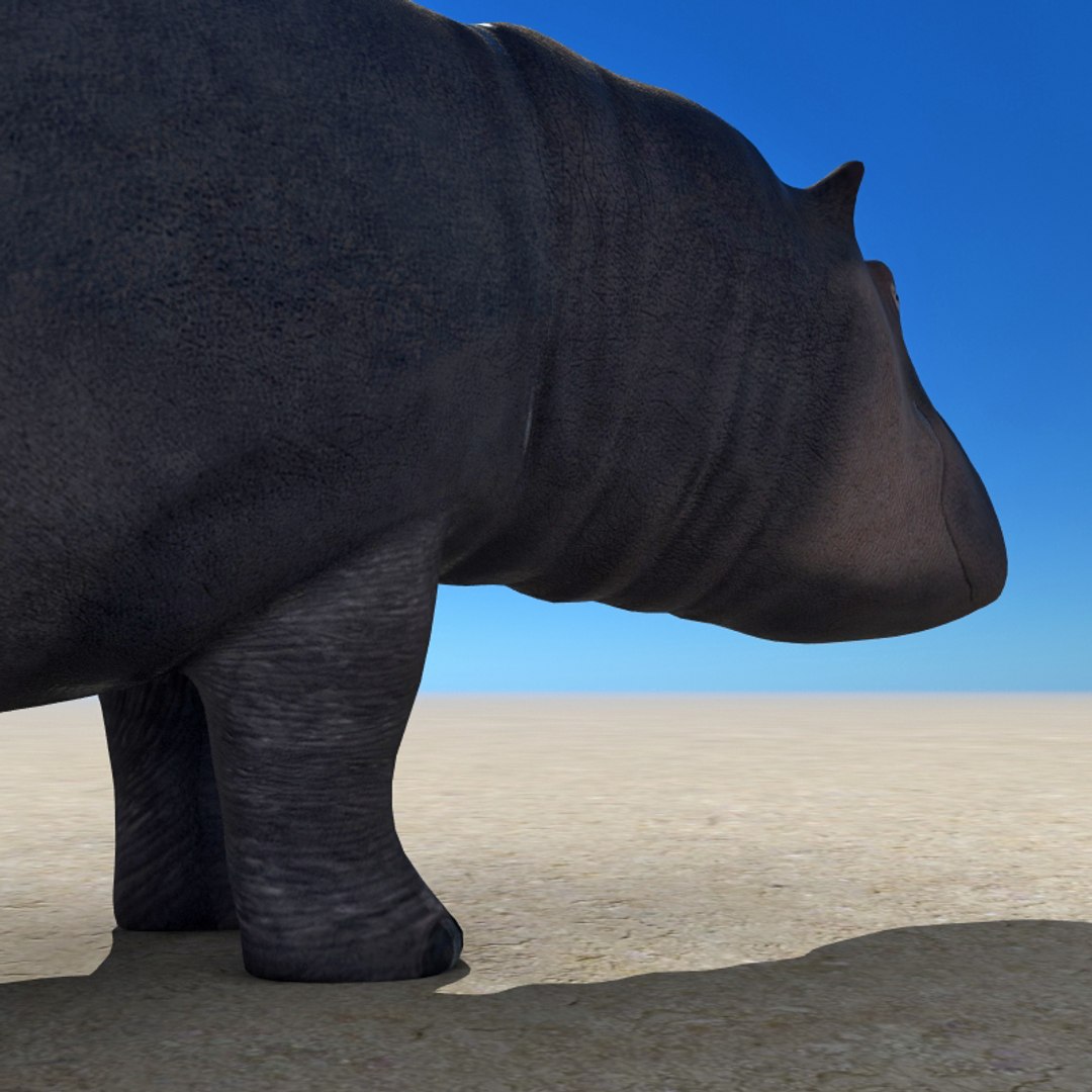 3d model hippo modelled