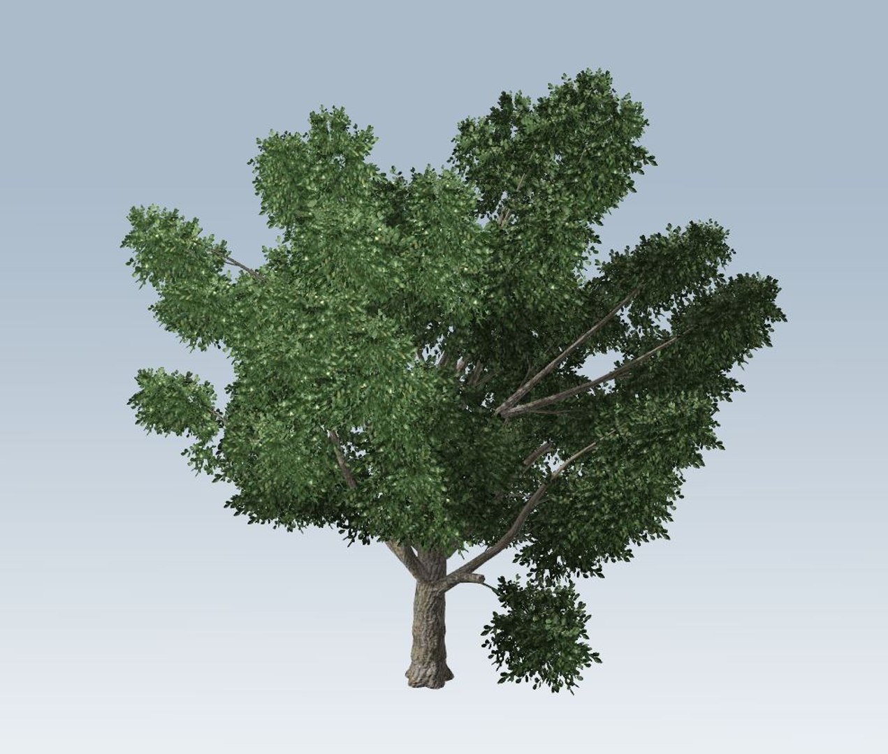3D tree model - TurboSquid 1381291