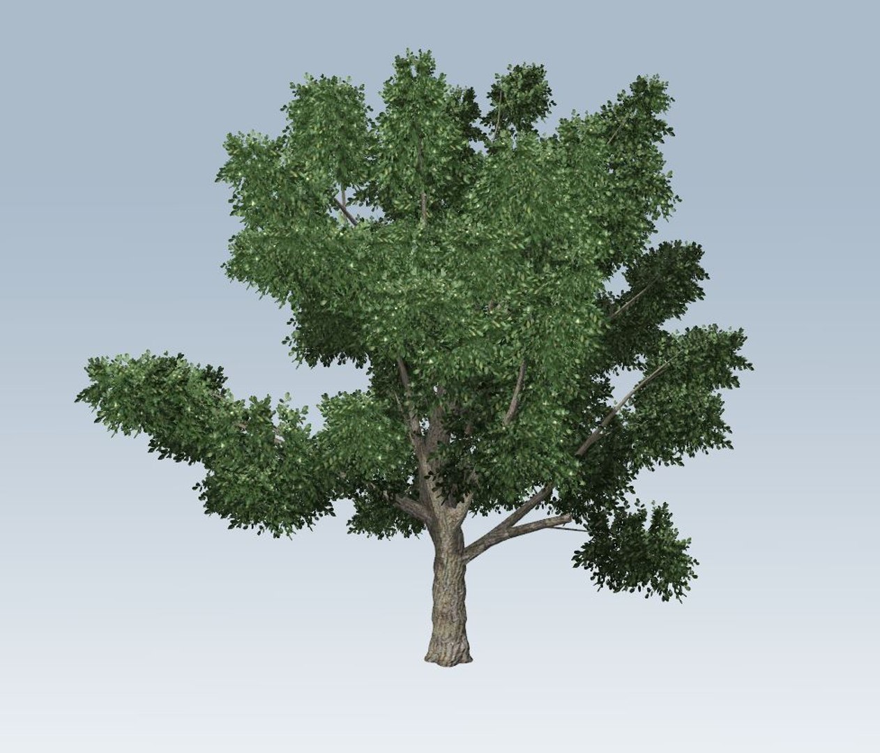3D tree model - TurboSquid 1381291