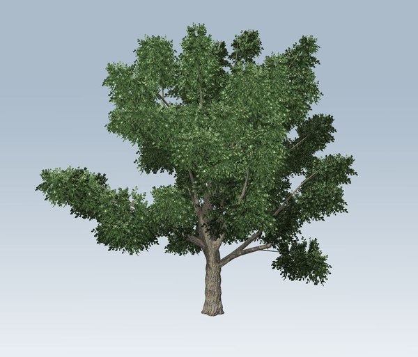 Environment 3D model - TurboSquid 1349008