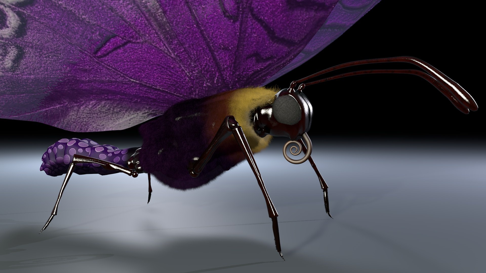 Butterfly Animate 3D Model - TurboSquid 1191860