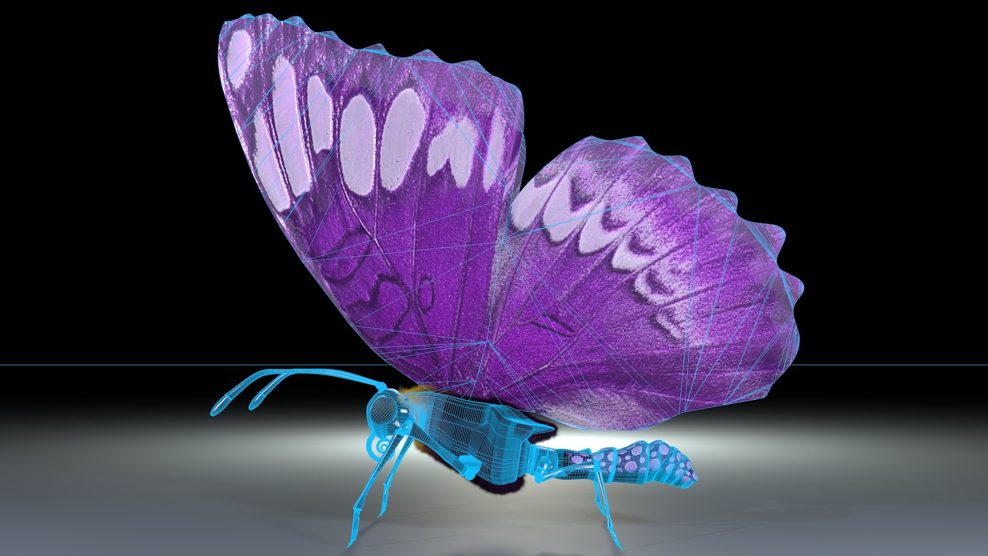Butterfly Animate 3D Model - TurboSquid 1191860
