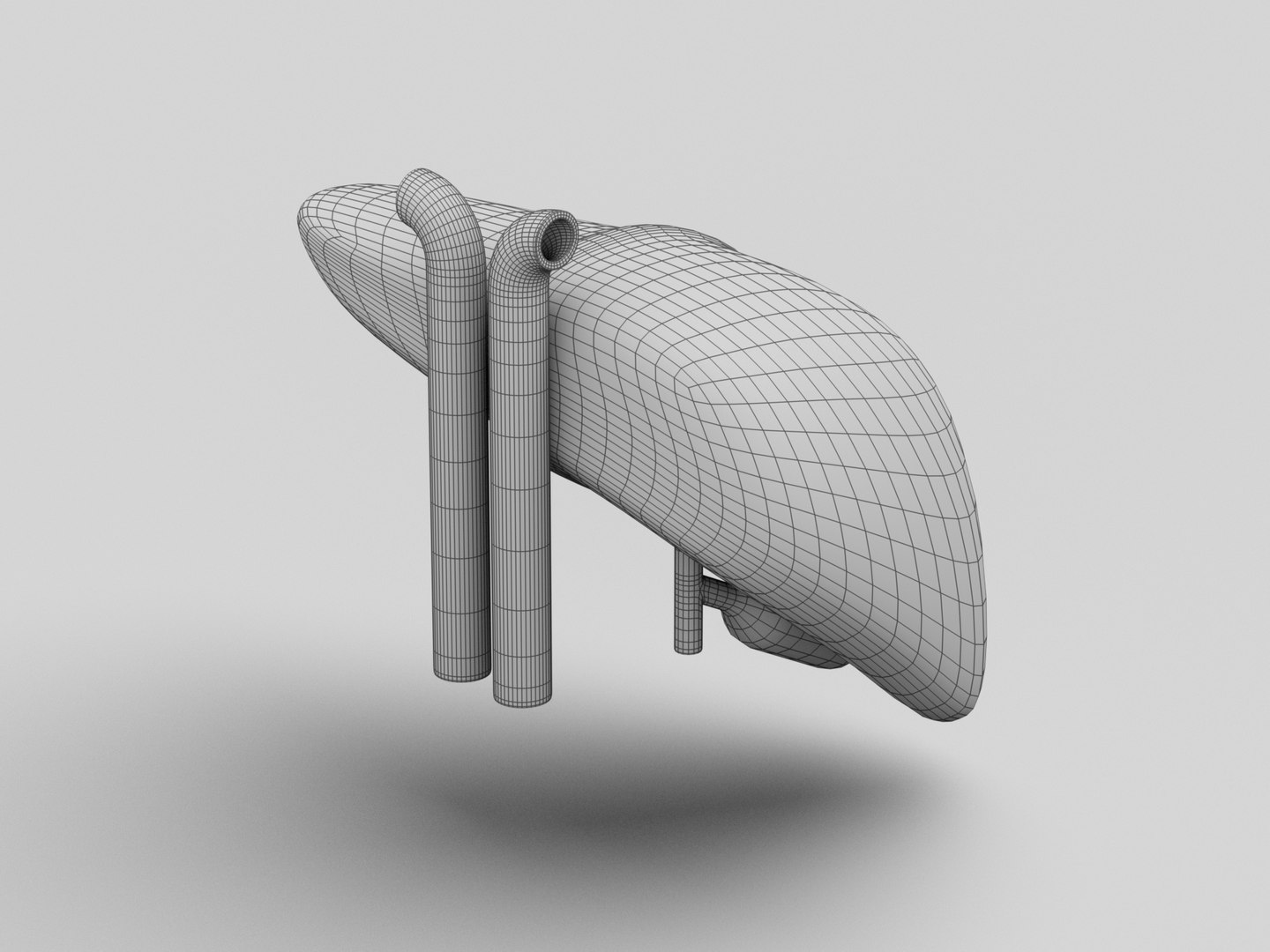 Liver Cartoon Stylized 3D Model - TurboSquid 1794331