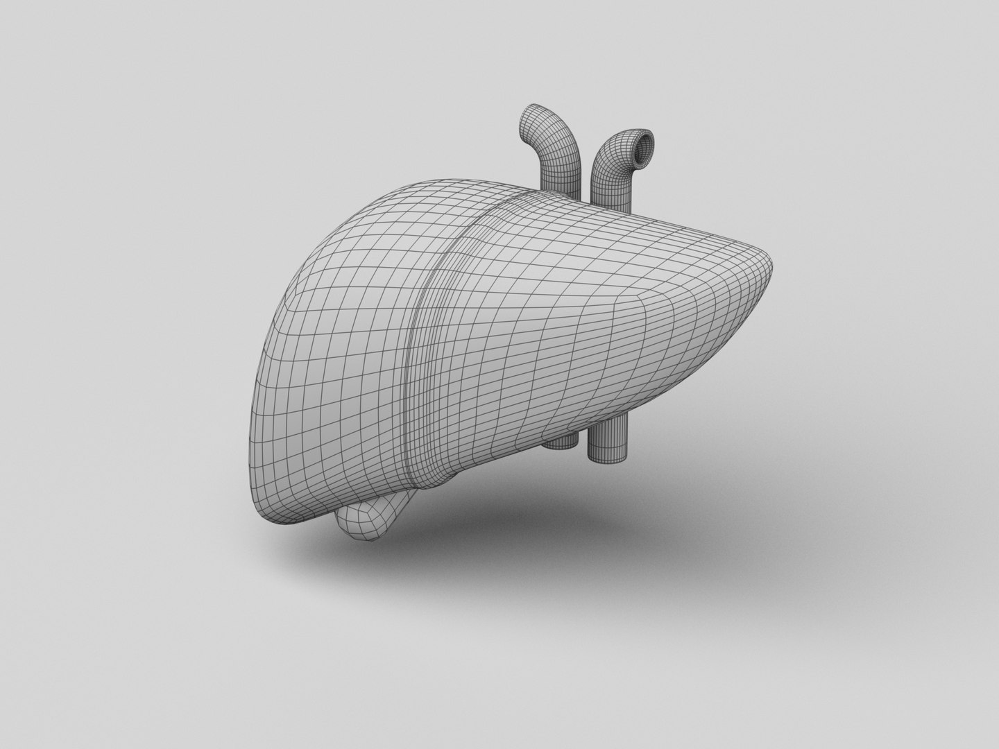 Liver Cartoon Stylized 3D Model - TurboSquid 1794331