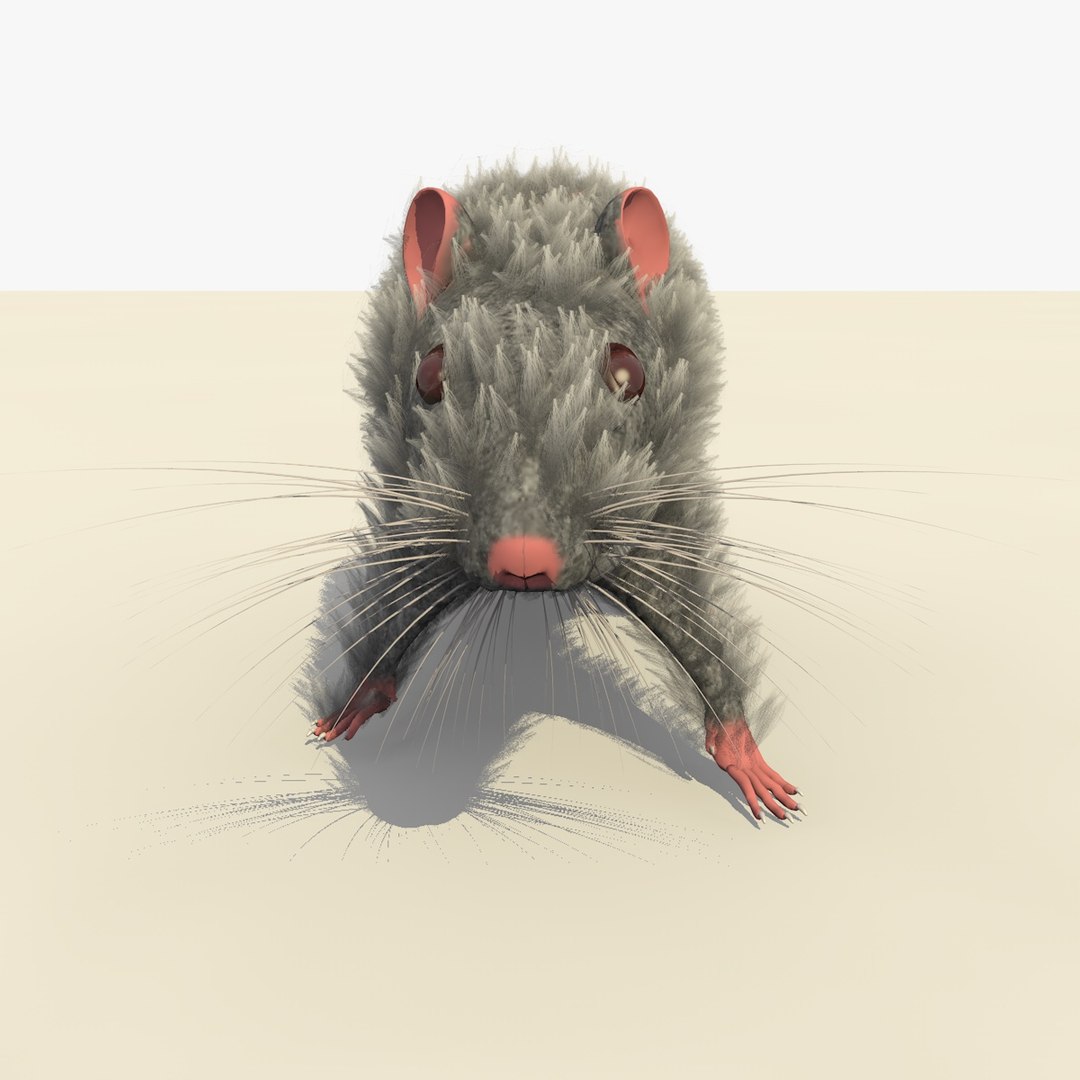 3d Grey Mouse Animations Model