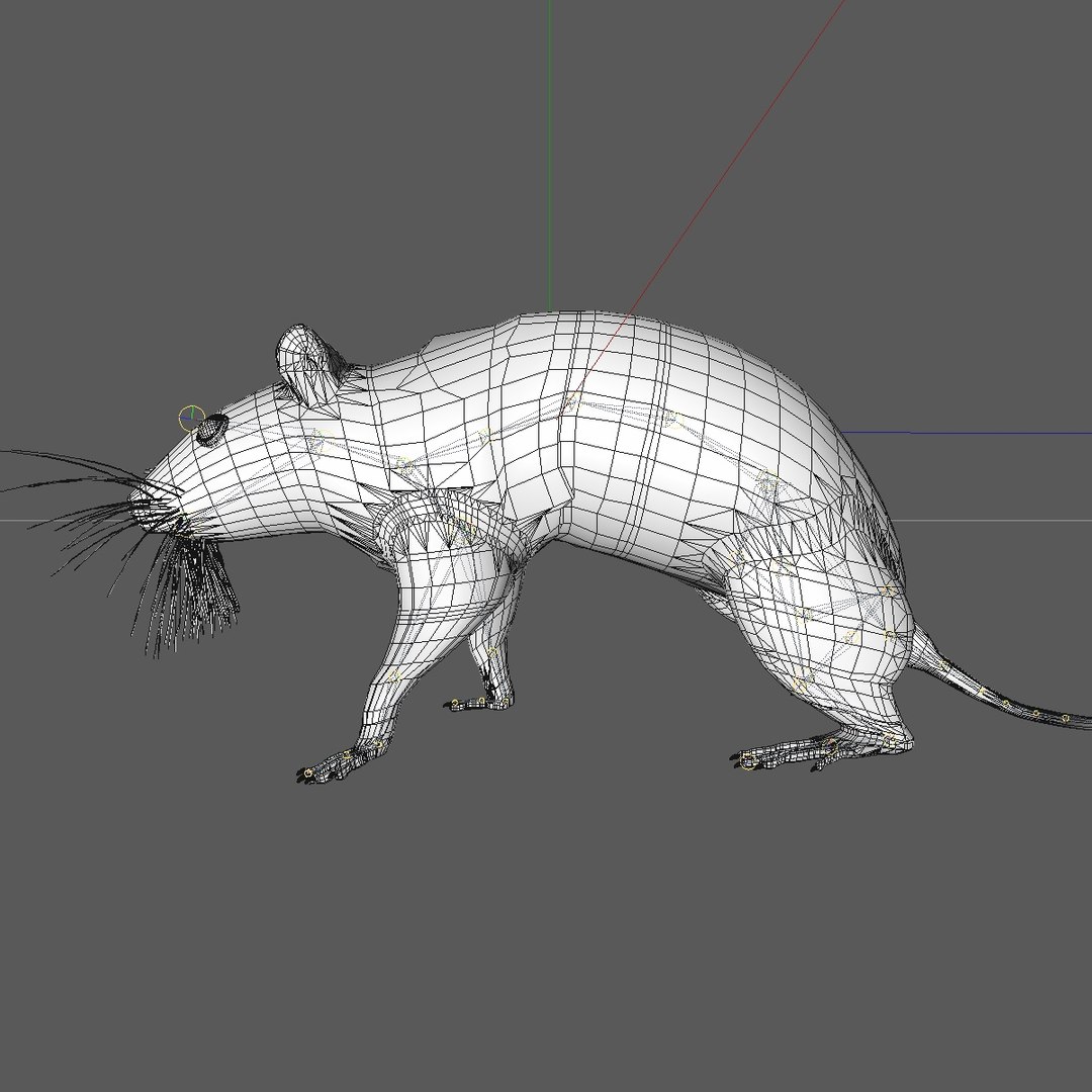 3d Grey Mouse Animations Model