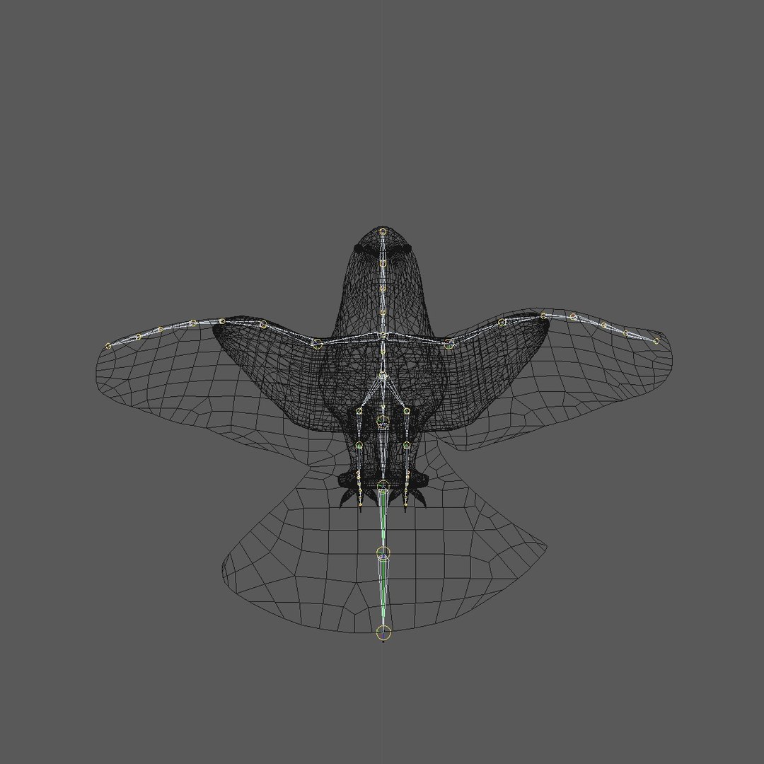 3d House Sparrow Landing Walking