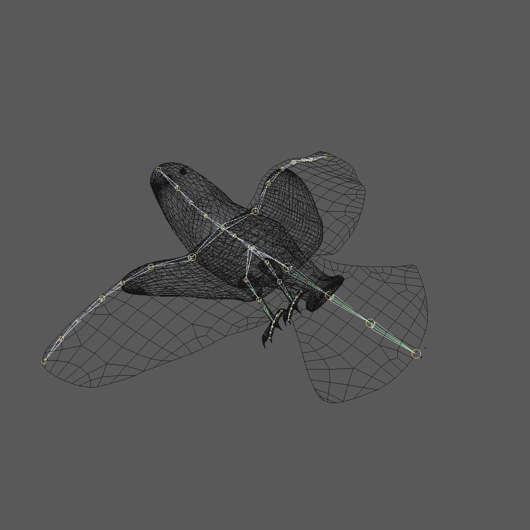 3d House Sparrow Landing Walking