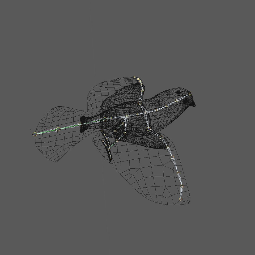 3d House Sparrow Landing Walking