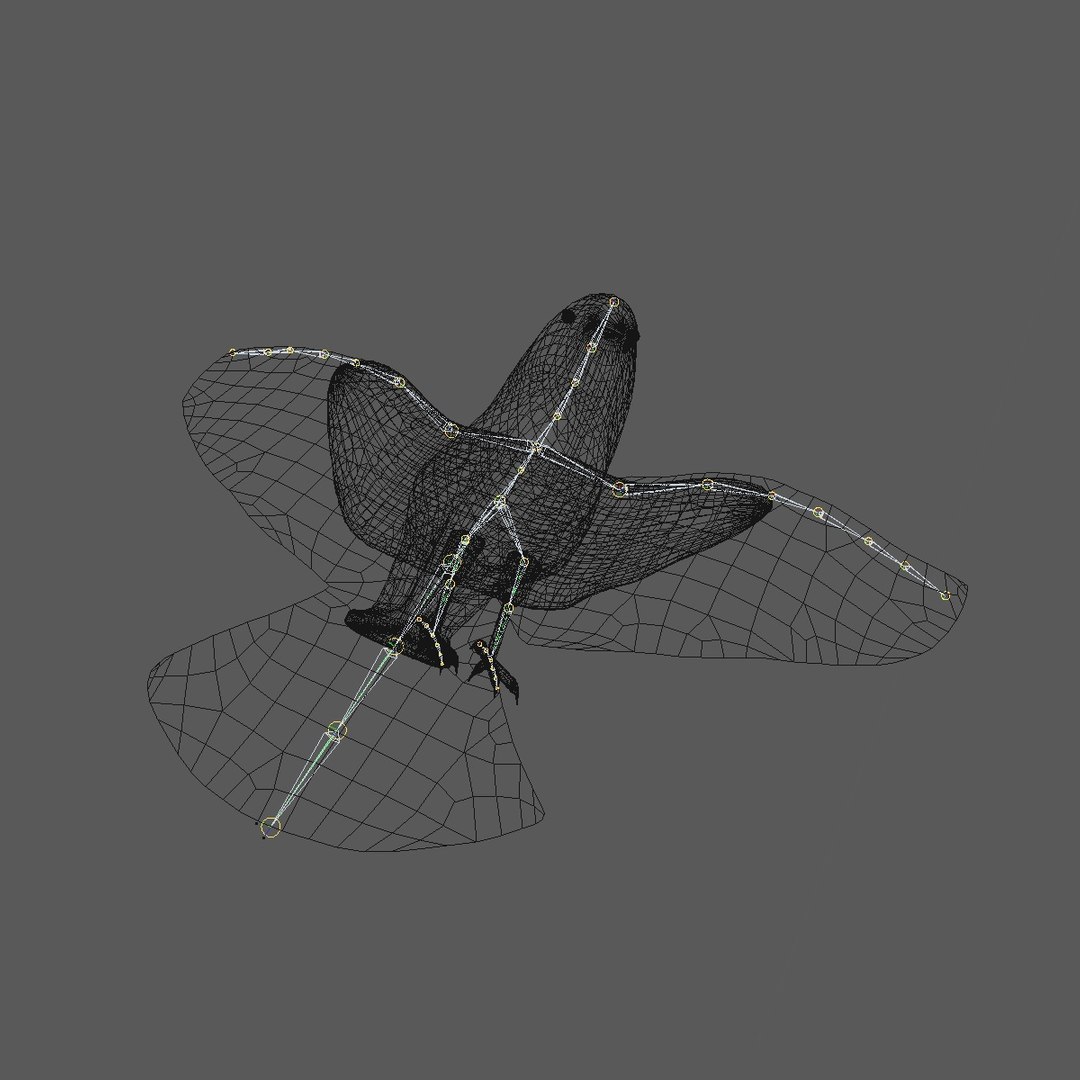 3d House Sparrow Landing Walking