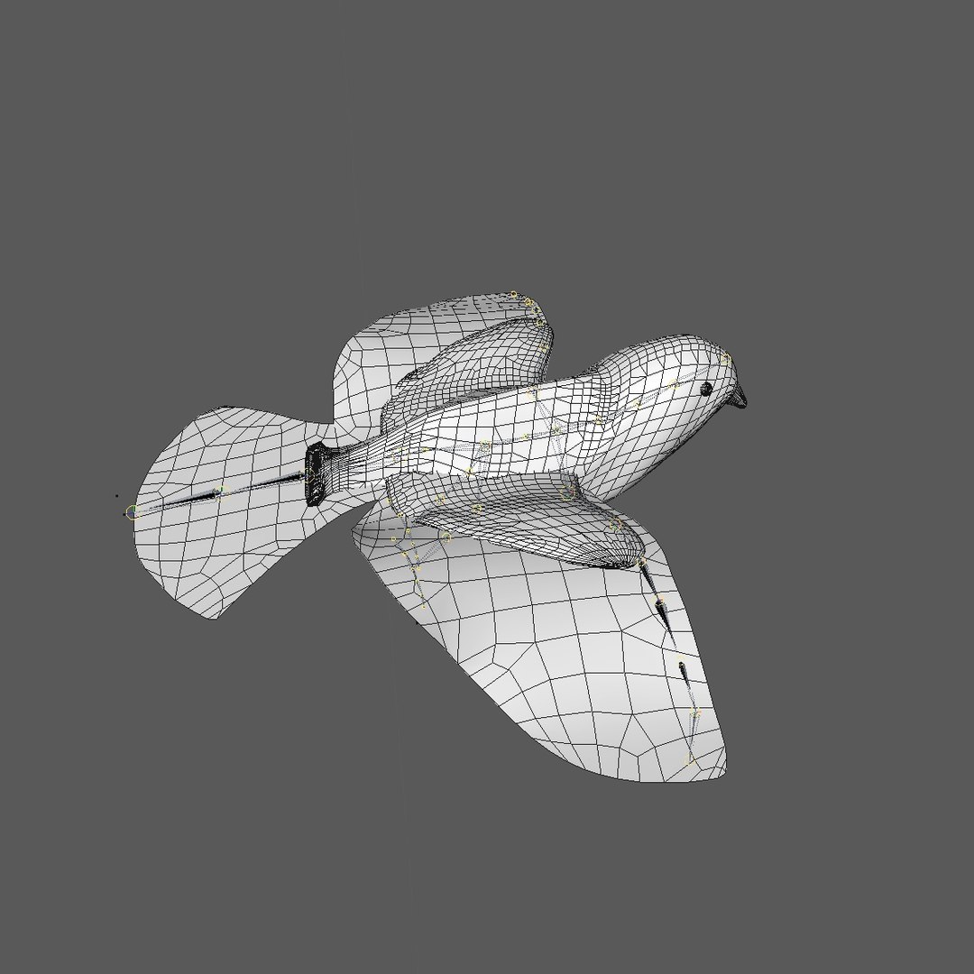 3d House Sparrow Landing Walking