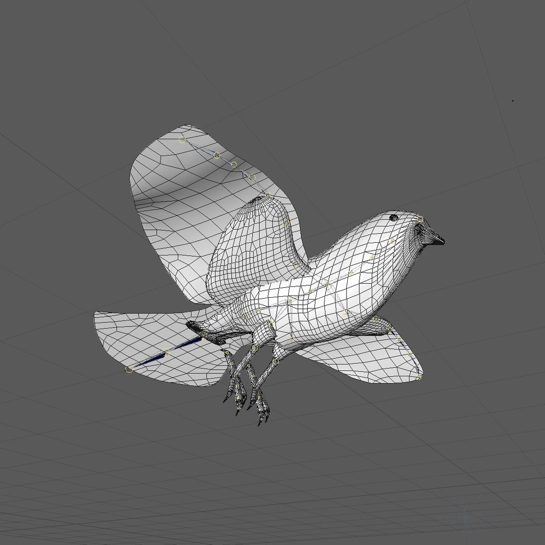 3d House Sparrow Landing Walking