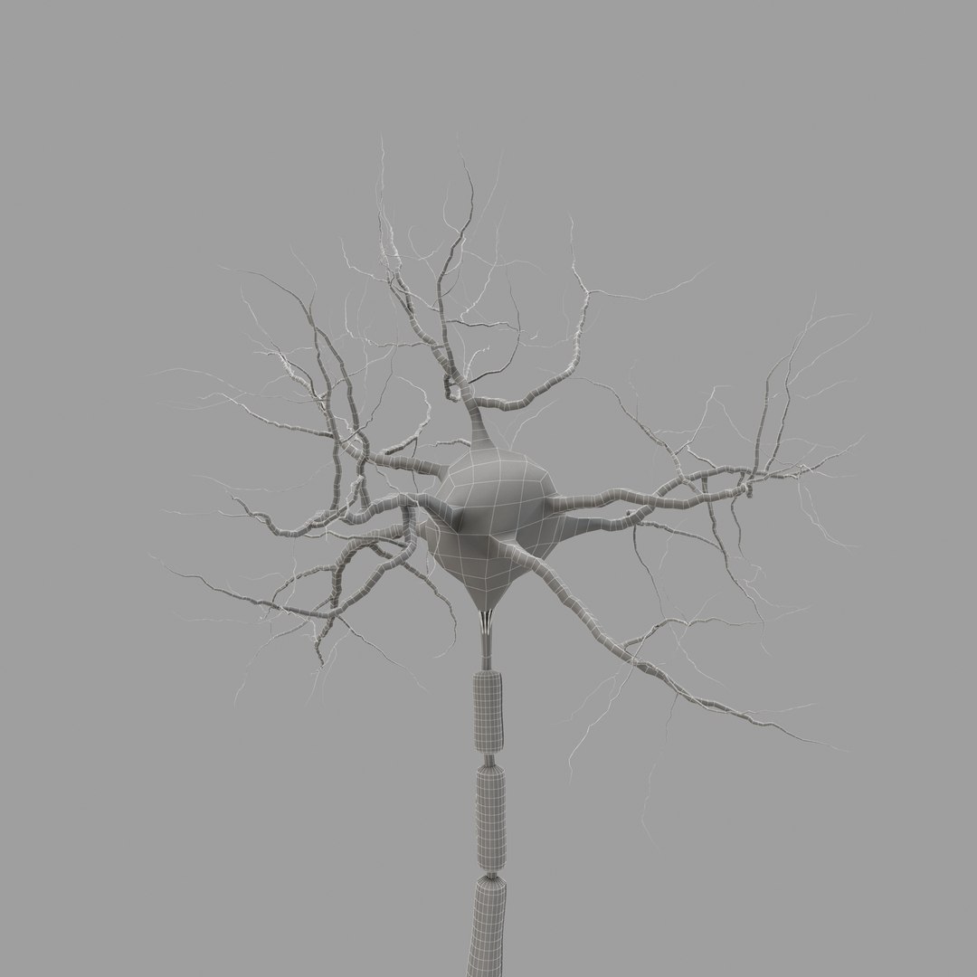 3D motor neuron - TurboSquid 1158889