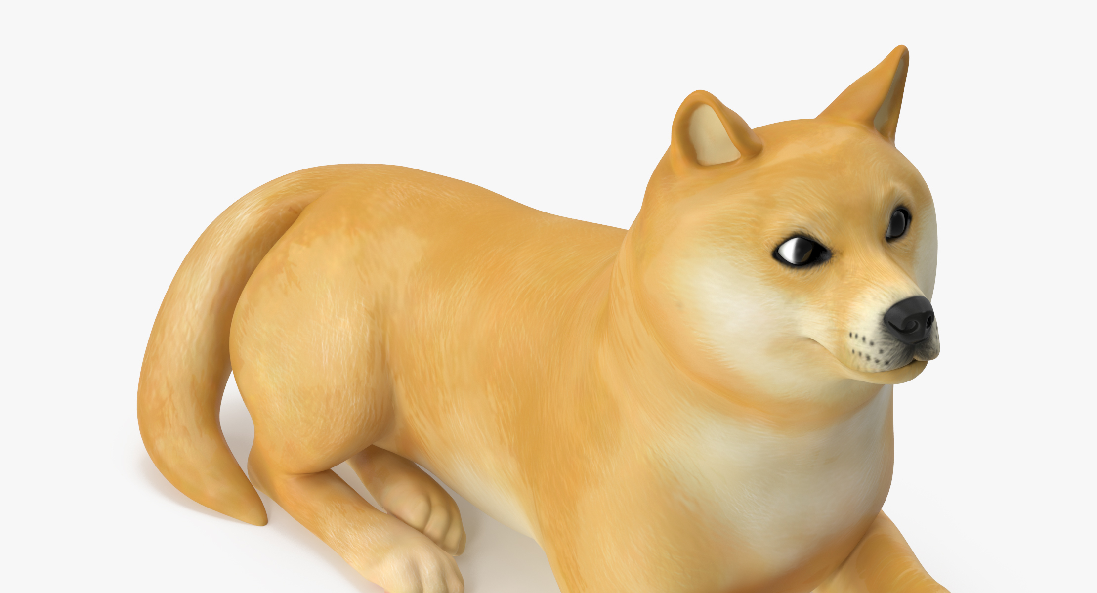 dog doge 3d max