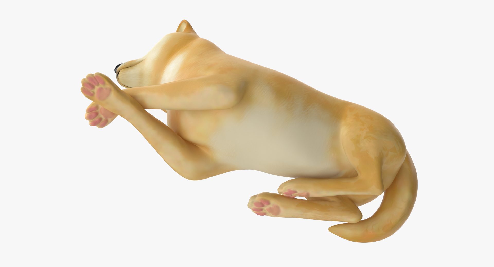 dog doge 3d max