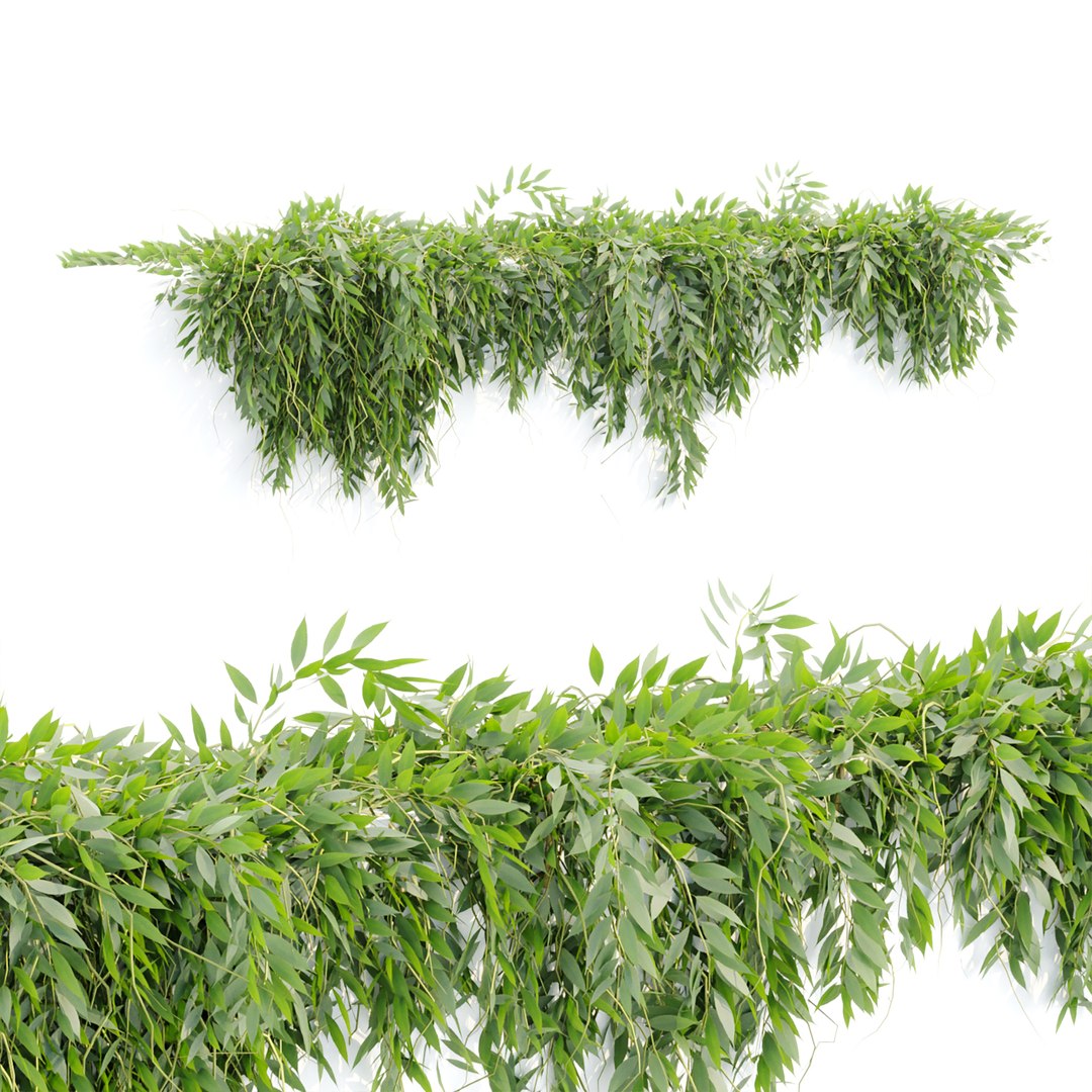 3D Hanging Wall Creeper Plants Collection Vol 7 - TurboSquid 2003597