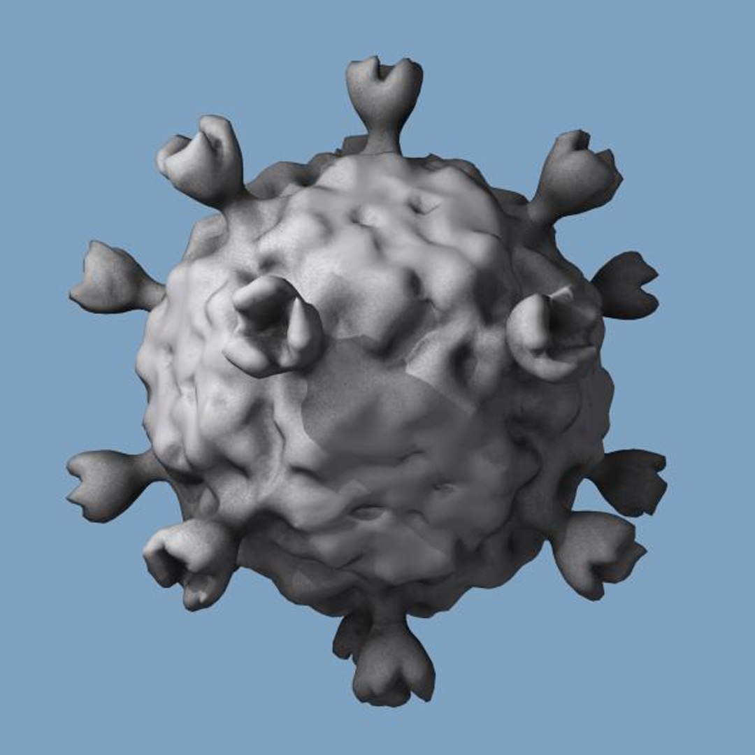 3d Model Of Spiroplasma Virus