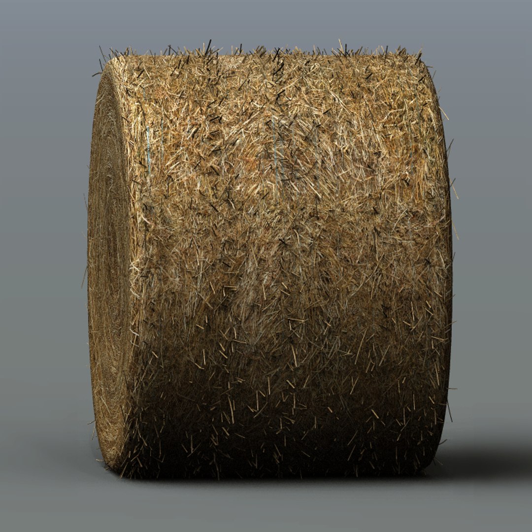 Bales Hay 3d Model
