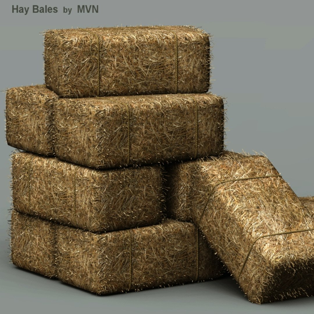 Bales Hay 3d Model