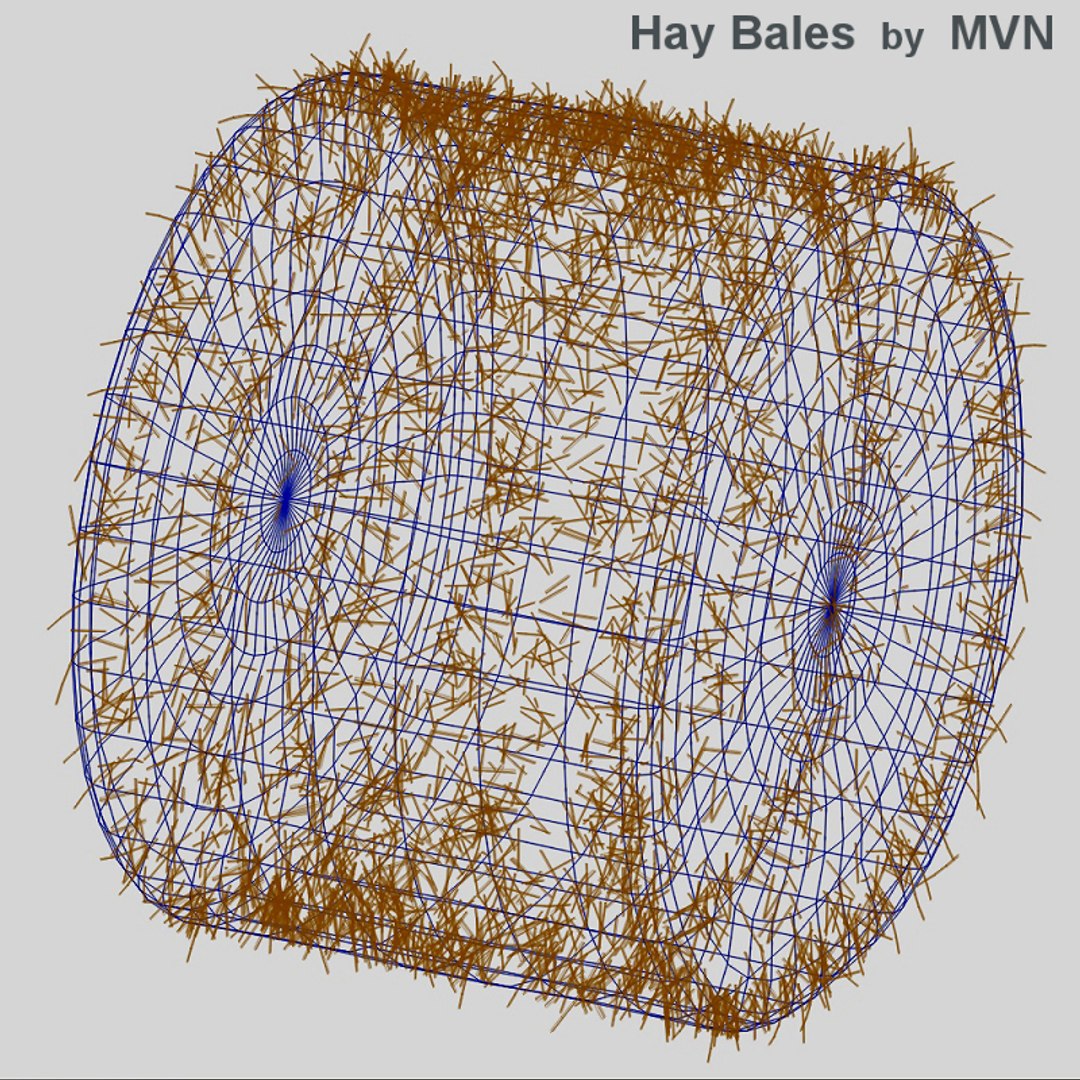 Bales Hay 3d Model