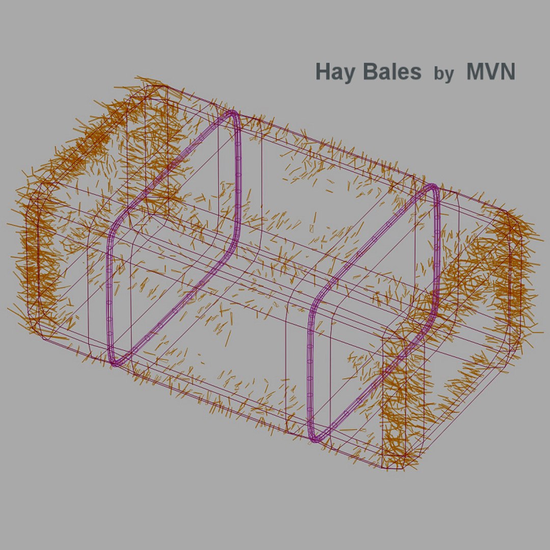 Bales Hay 3d Model