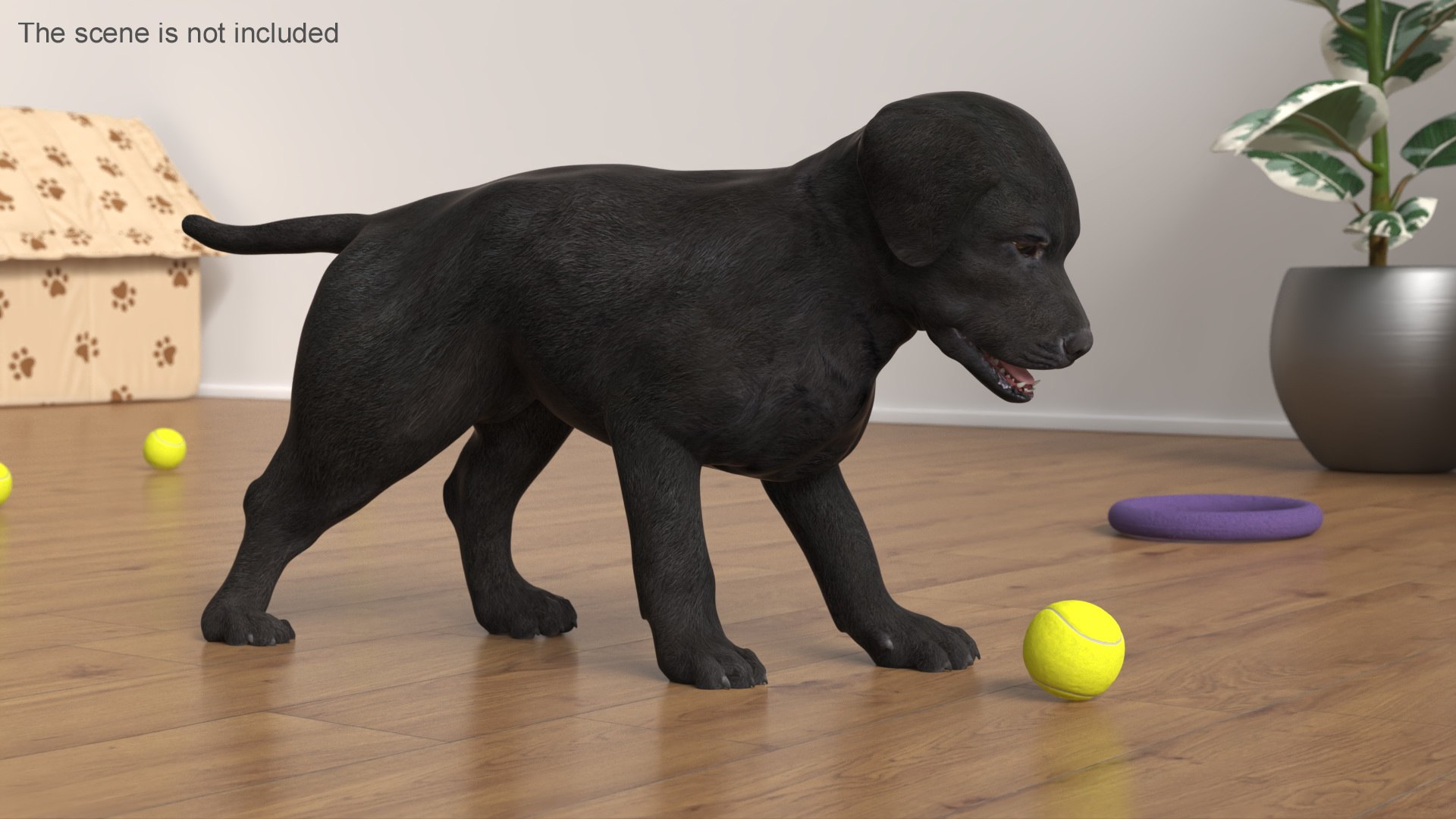 3D Playful Labrador Puppy Playing Animated Rigged - TurboSquid 2411495