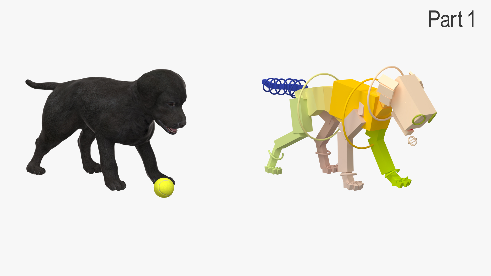 3D Playful Labrador Puppy Playing Animated Rigged - TurboSquid 2411495