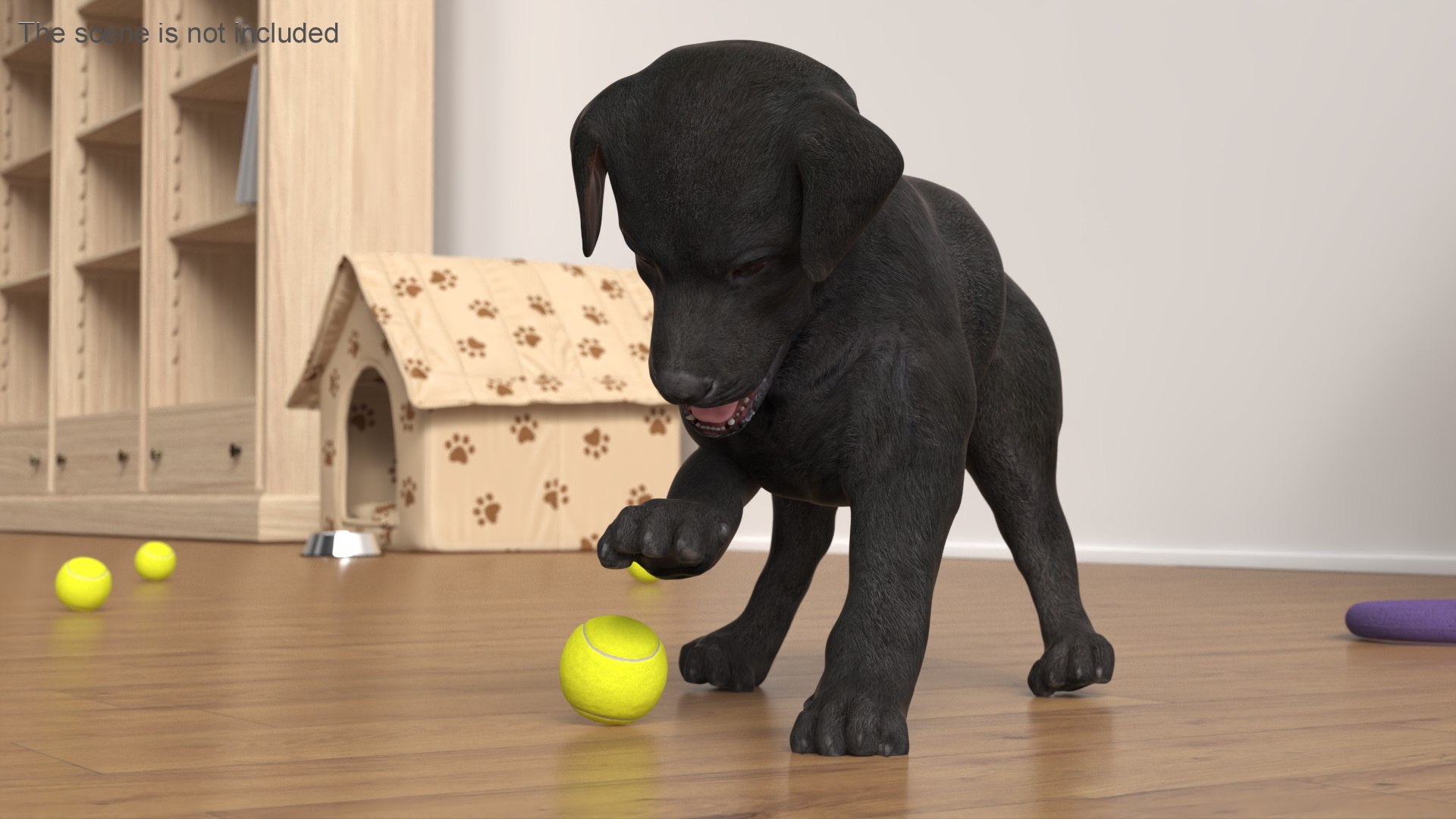 3D Playful Labrador Puppy Playing Animated Rigged - TurboSquid 2411495
