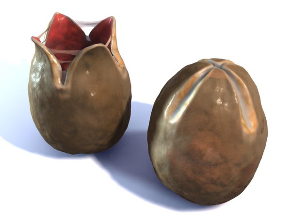 rigged xenomorph facehugger alien 3d max