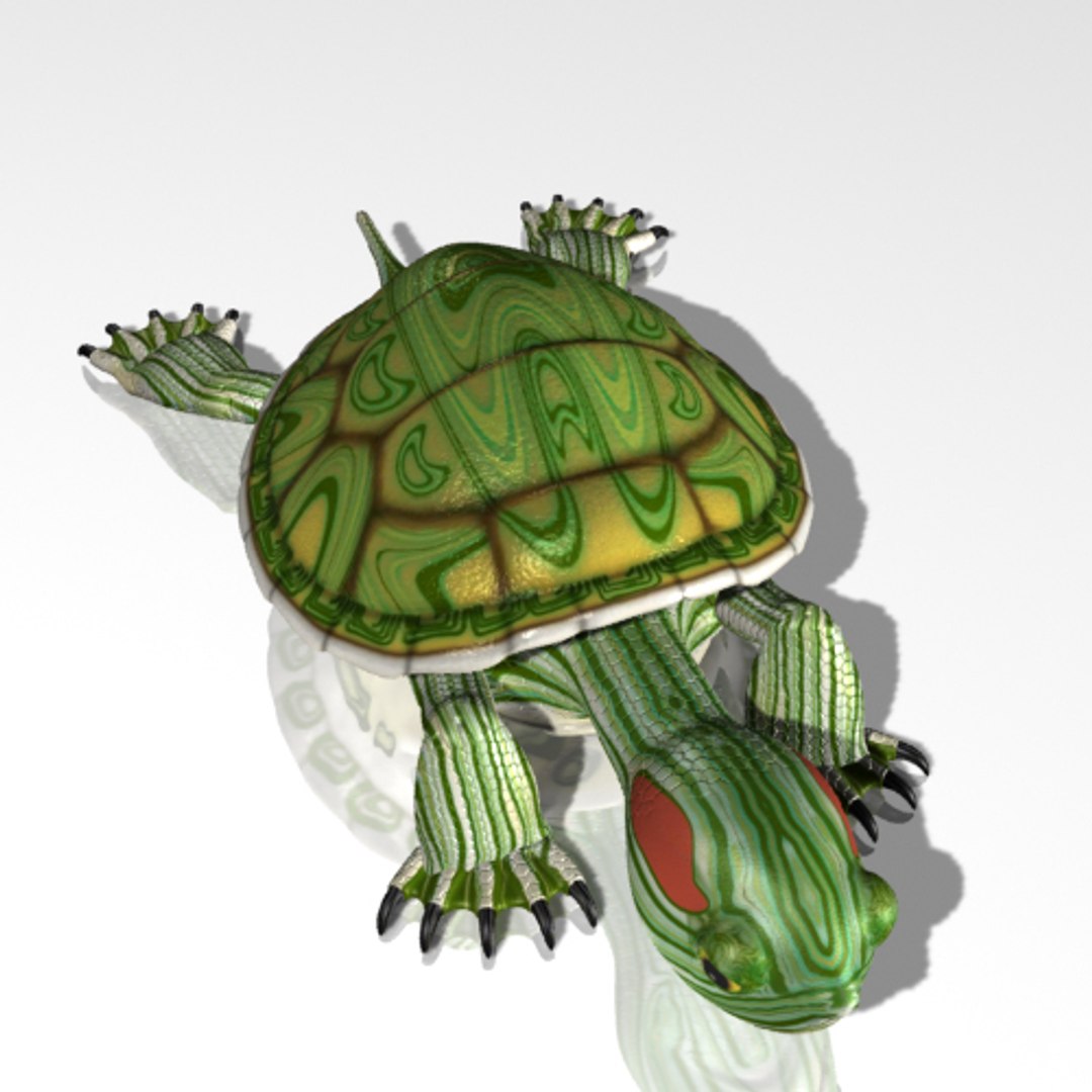 3d model of red eared slider