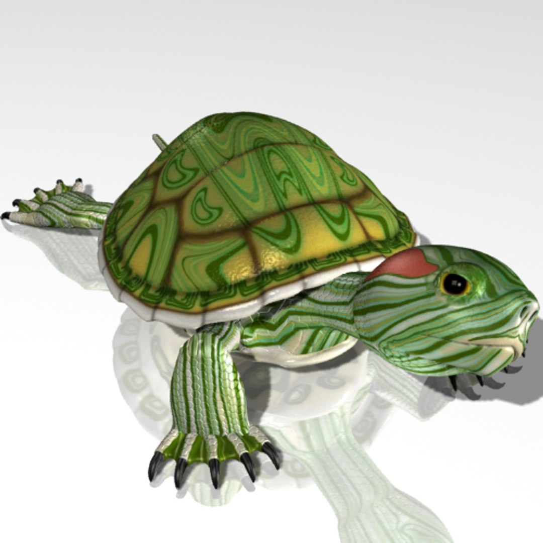 3d model of red eared slider