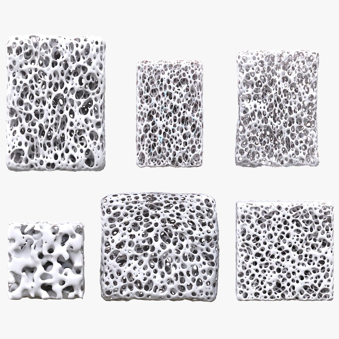 BoneStructureC4D 3D - TurboSquid 2049449