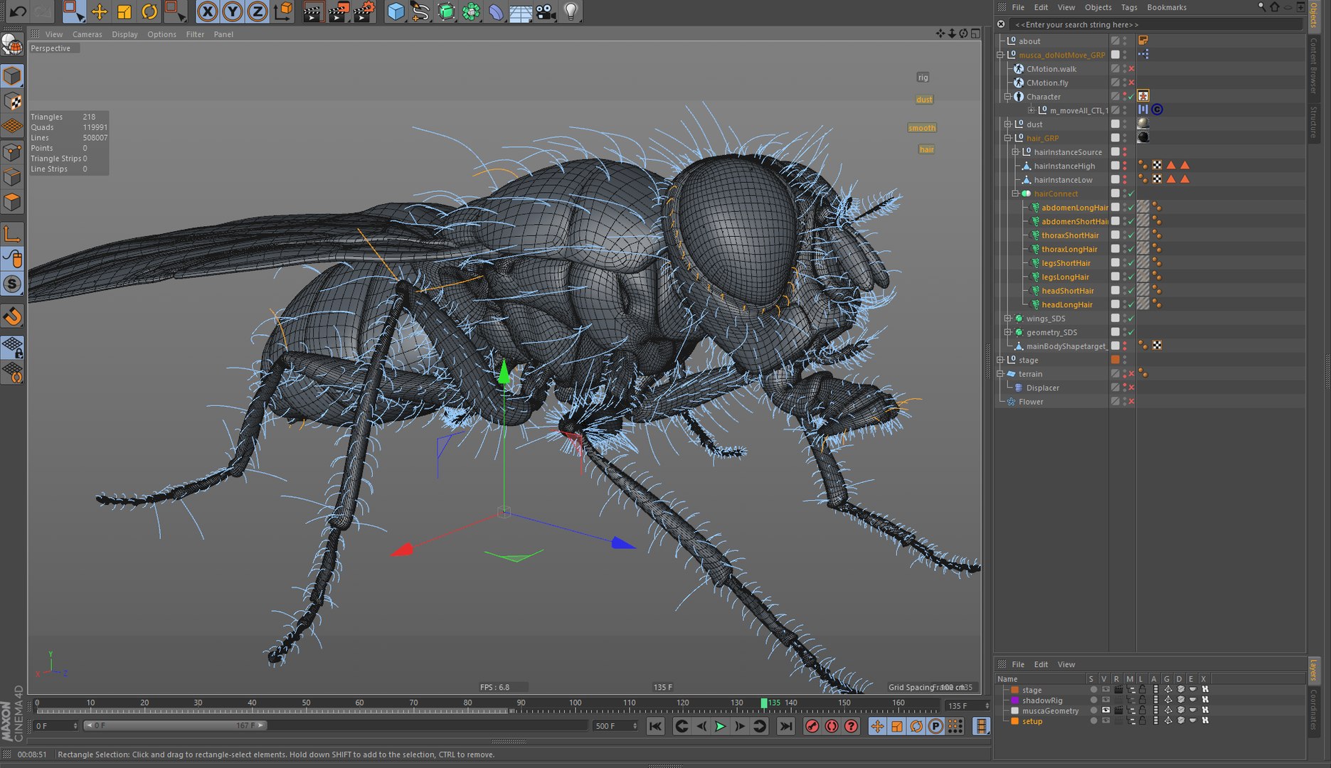 housefly fly 3d c4d