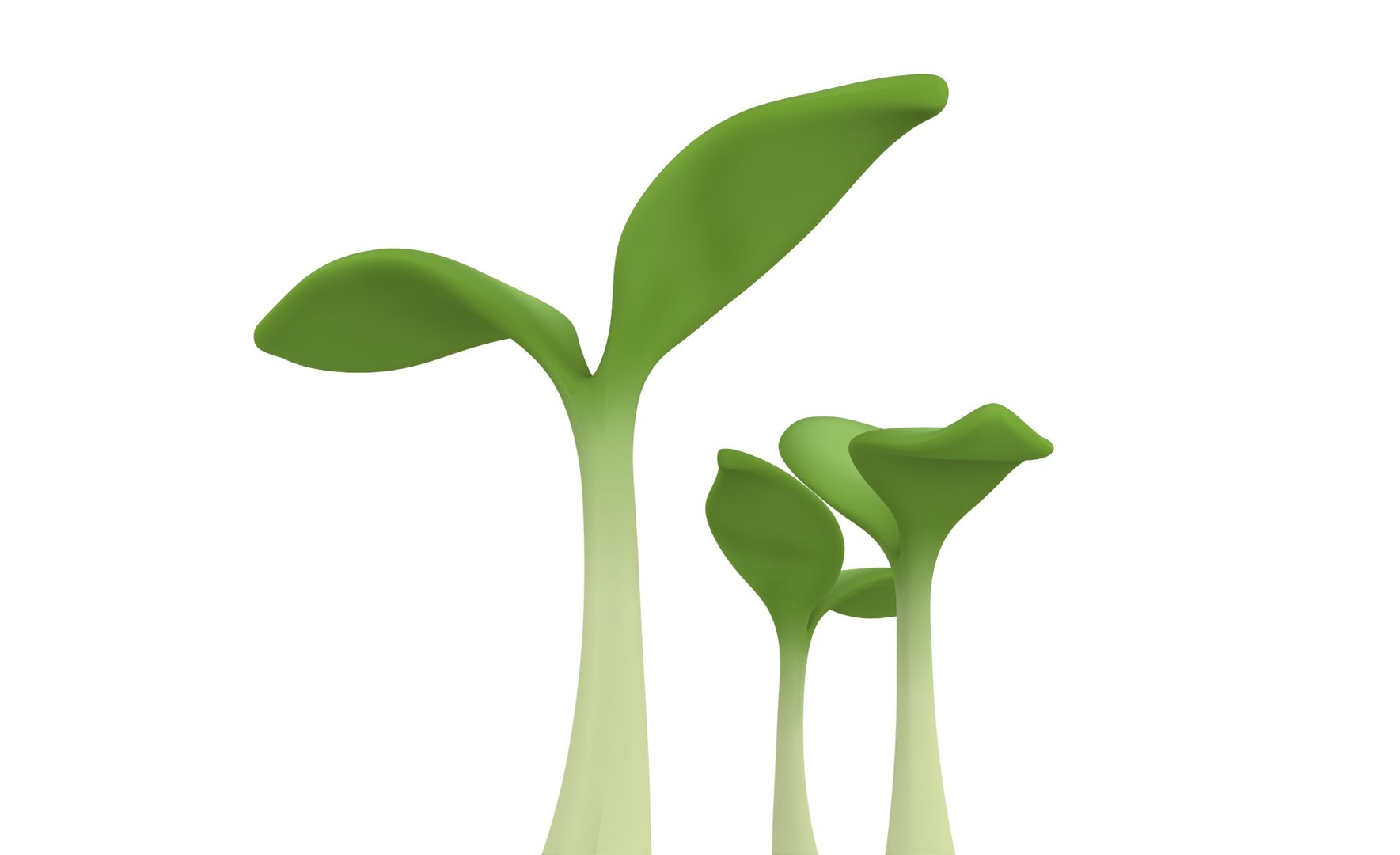 Prop32 Plant Sprout 3D Model - TurboSquid 2224185