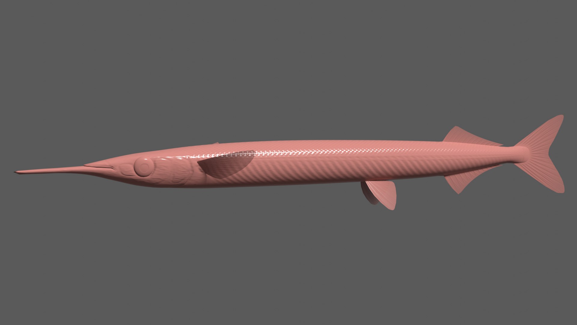 3ds Max Japanese Halfbeak Sayori