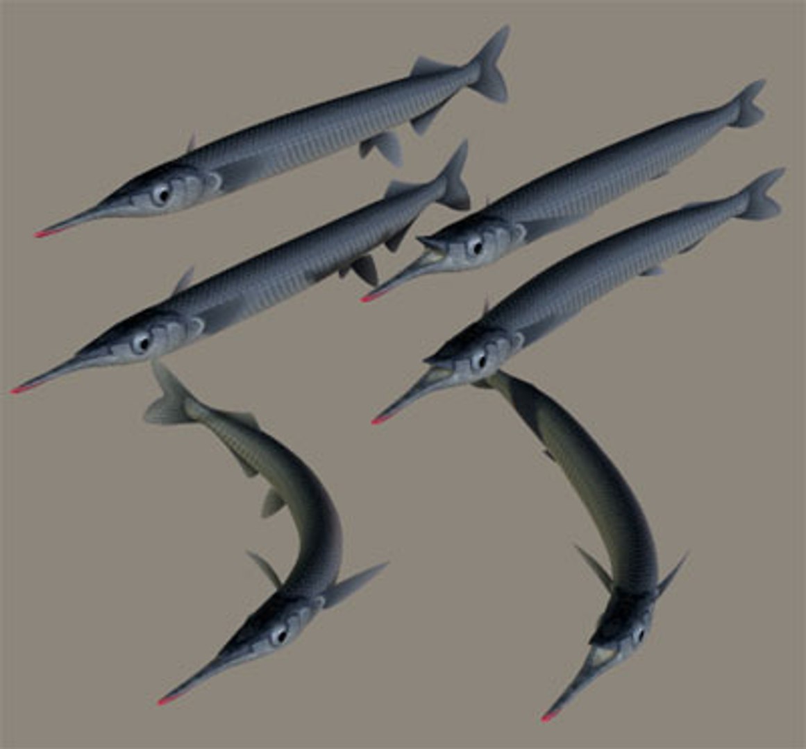 3ds Max Japanese Halfbeak Sayori