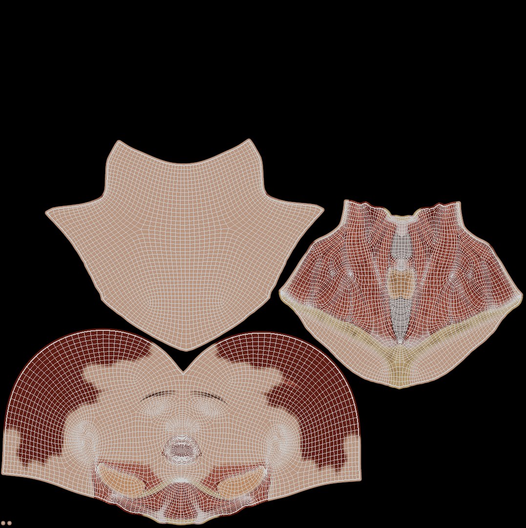 3D Human Anatomy-Neck Anterior Superficial View Model - TurboSquid 2215176