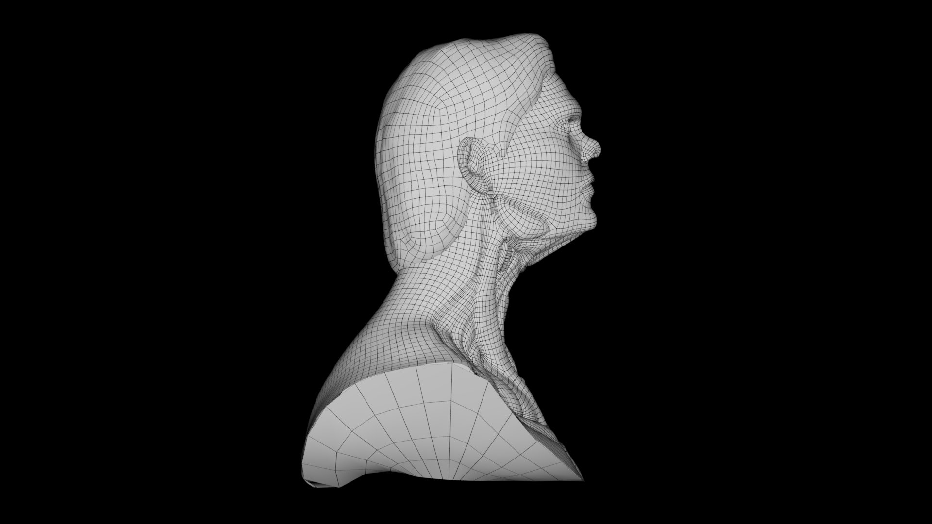 3D Human Anatomy-Neck Anterior Superficial View Model - TurboSquid 2215176