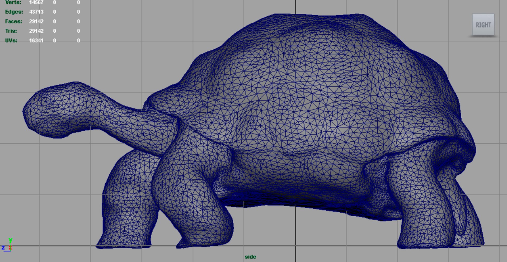 3D Giant Tortoise Model - TurboSquid 1220296