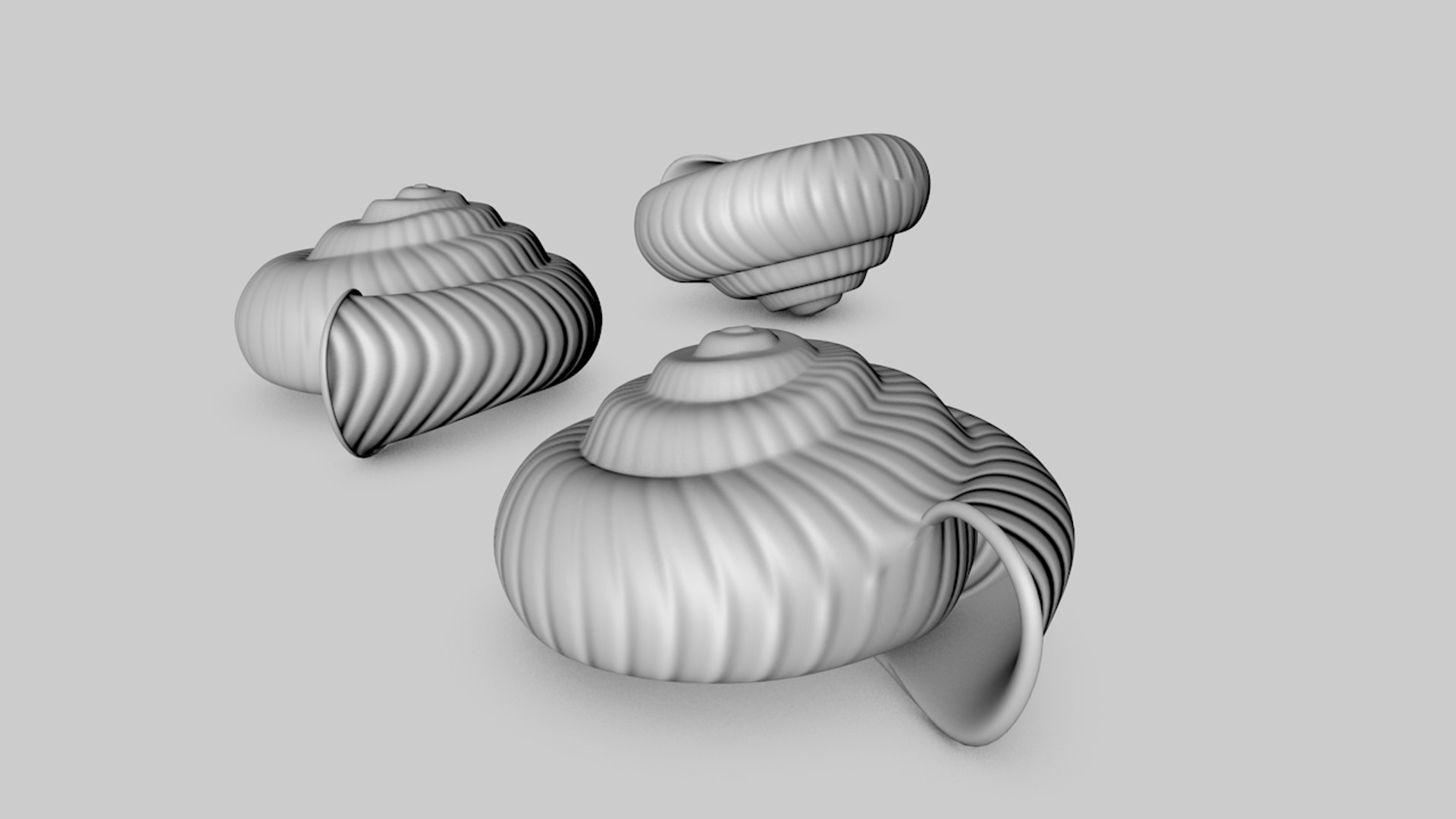 3D Snail Shell Model - TurboSquid 1264257