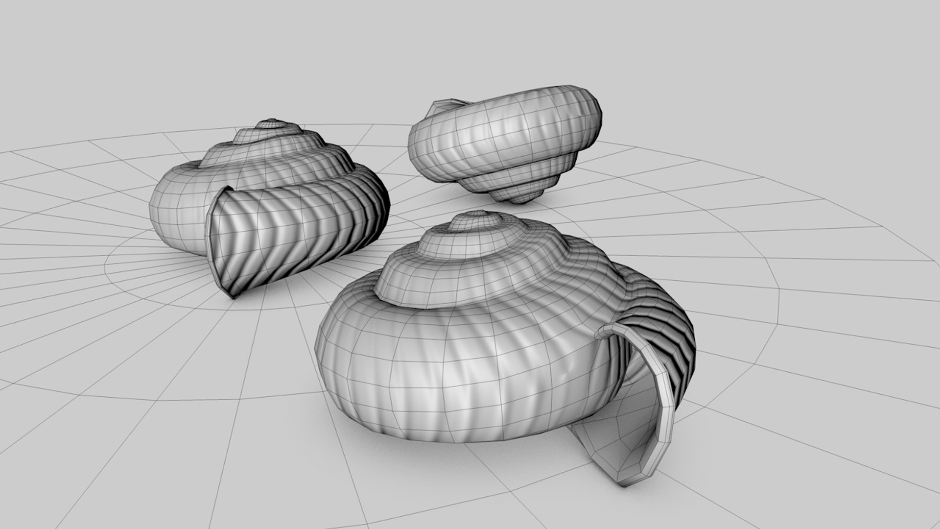3D Snail Shell Model - TurboSquid 1264257