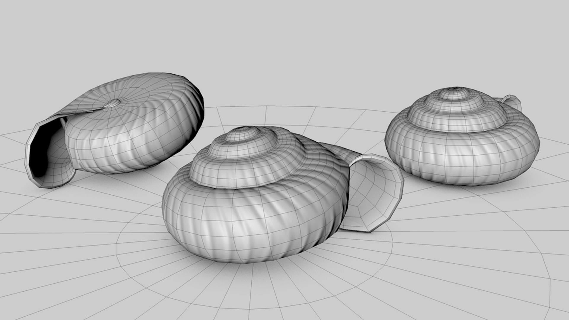 3D Snail Shell Model - TurboSquid 1264257
