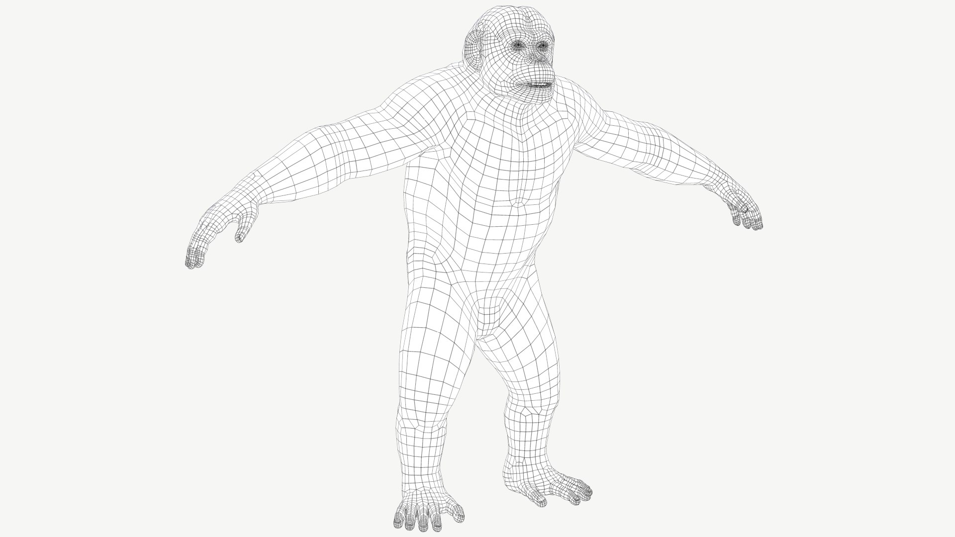 Chimpanzee 3D Model - TurboSquid 1960284