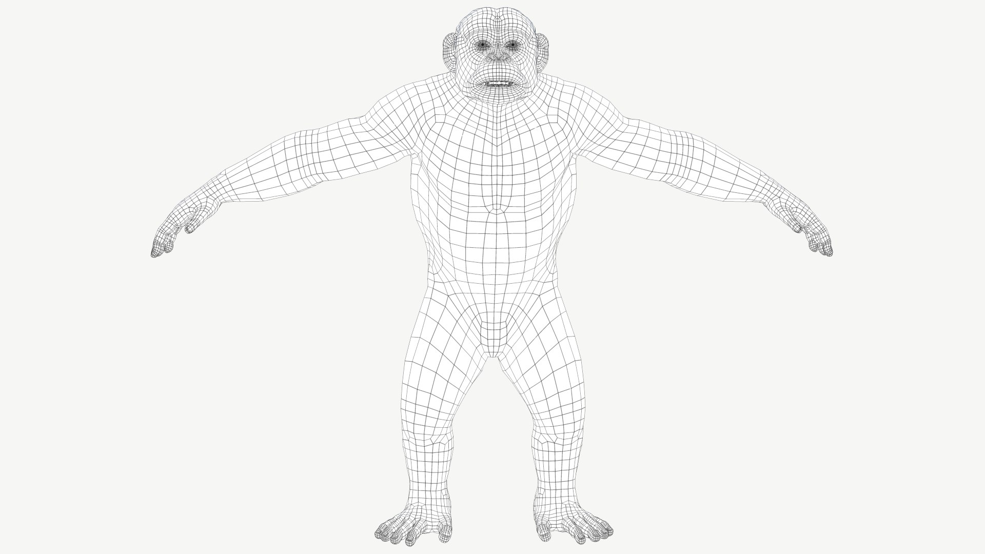 Chimpanzee 3D Model - TurboSquid 1960284