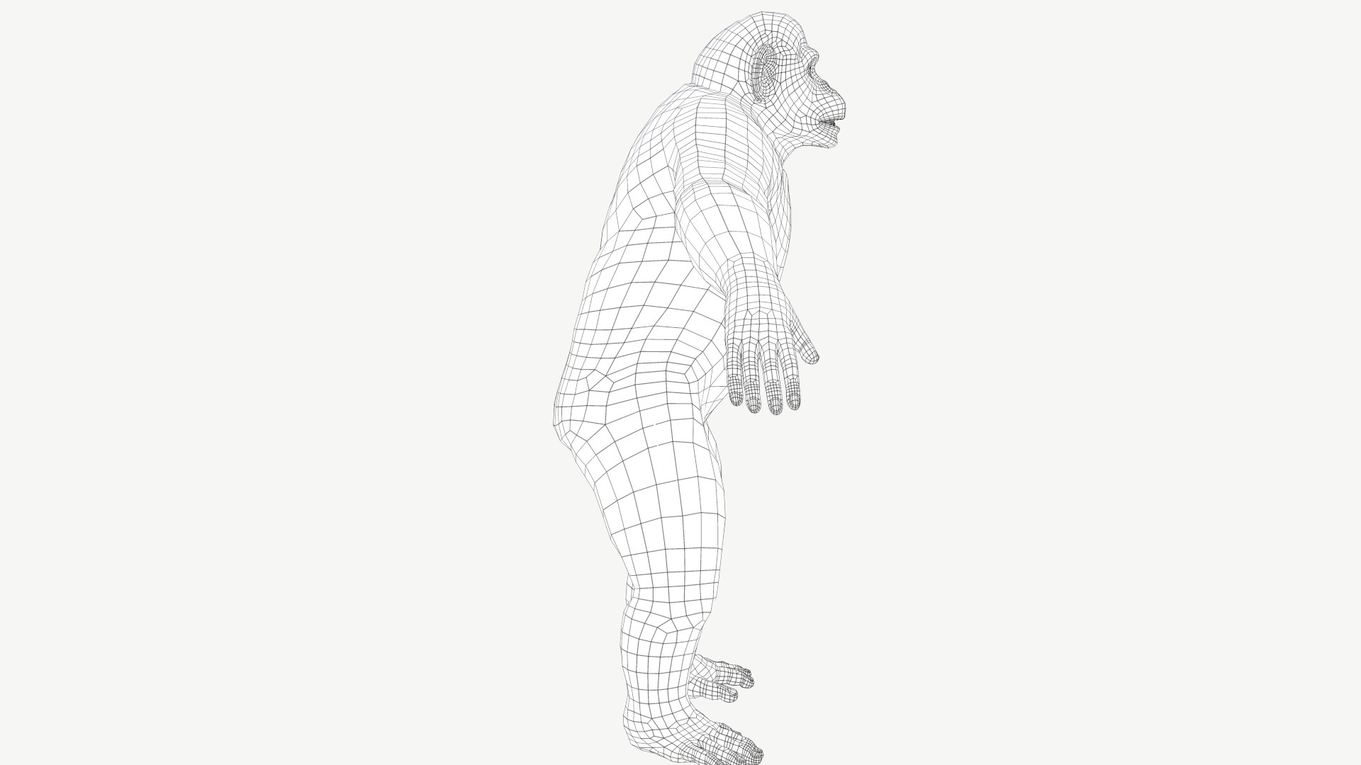 Chimpanzee 3D Model - TurboSquid 1960284