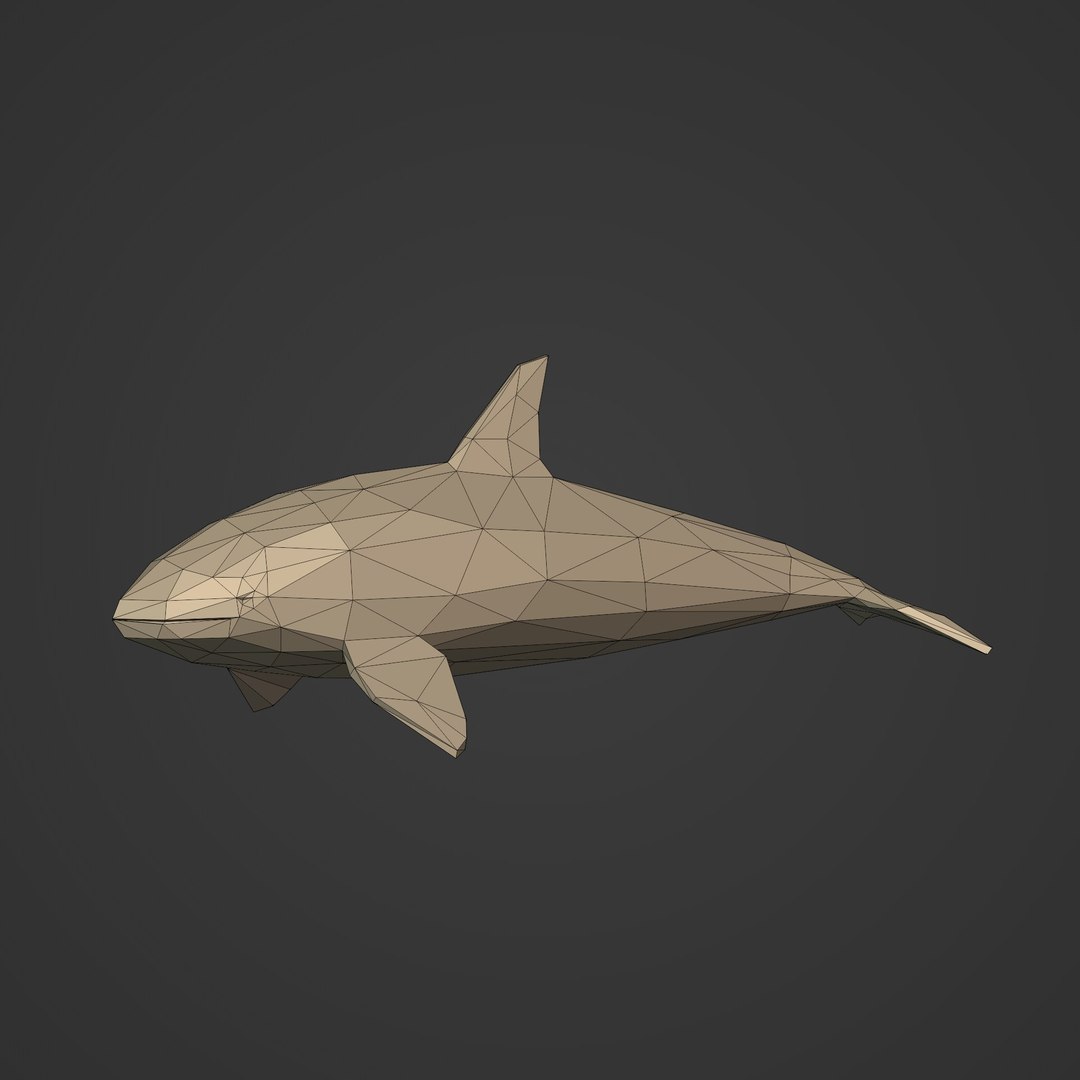 Cartoon sea animals 3D model - TurboSquid 1486291