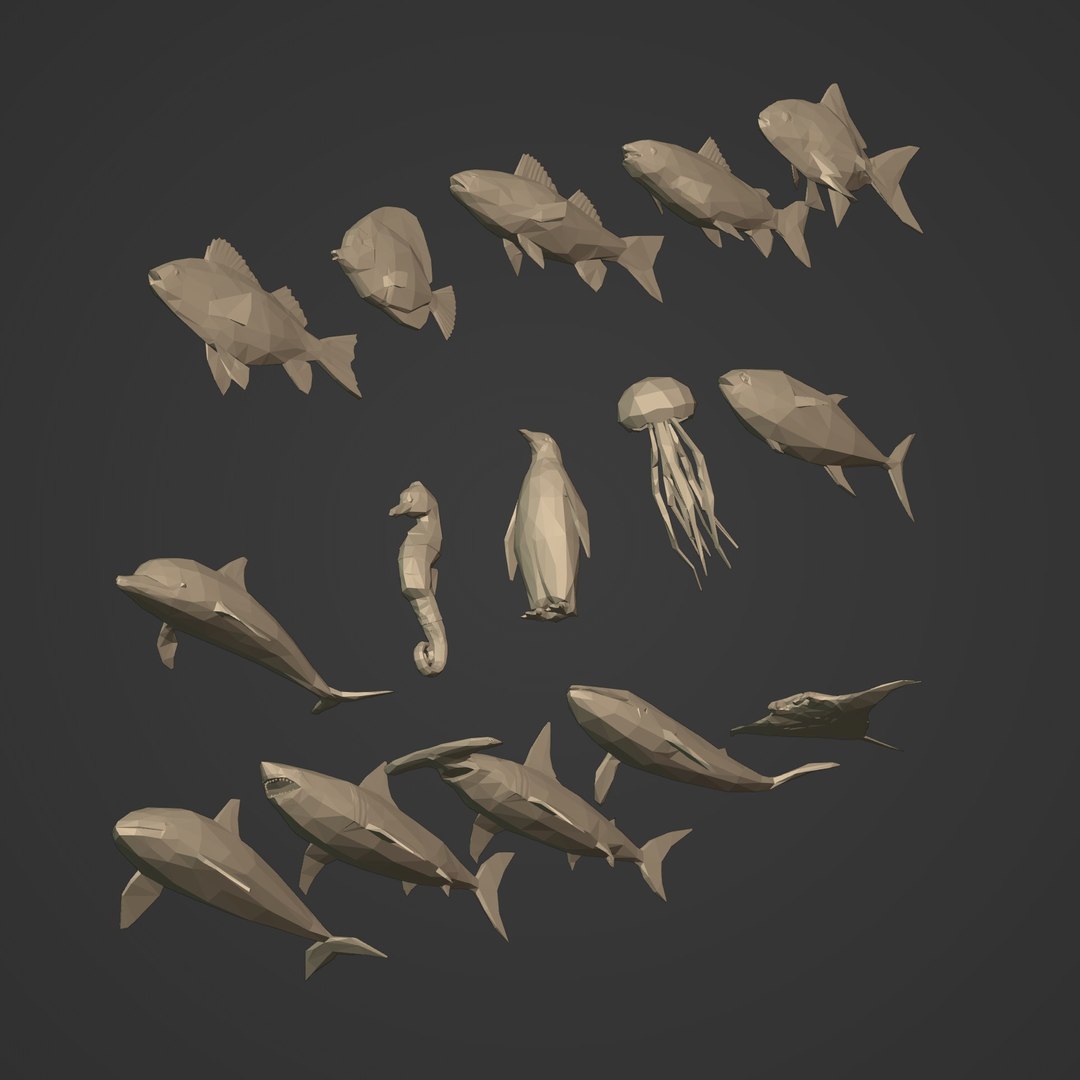 Cartoon sea animals 3D model - TurboSquid 1486291