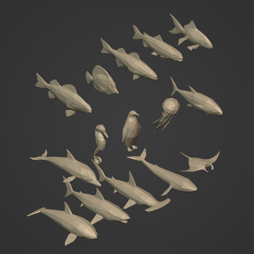 Cartoon Sea Animals 3D Model - TurboSquid 1486291