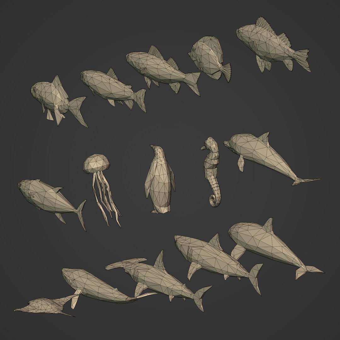 Cartoon Sea Animals 3D Model - TurboSquid 1486291